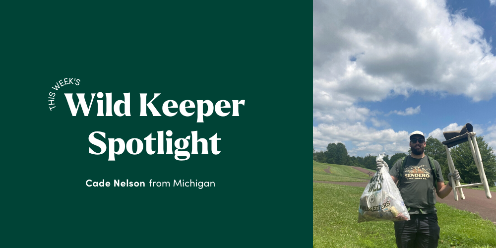 Wild Keeper Spotlight: Cade Nelson