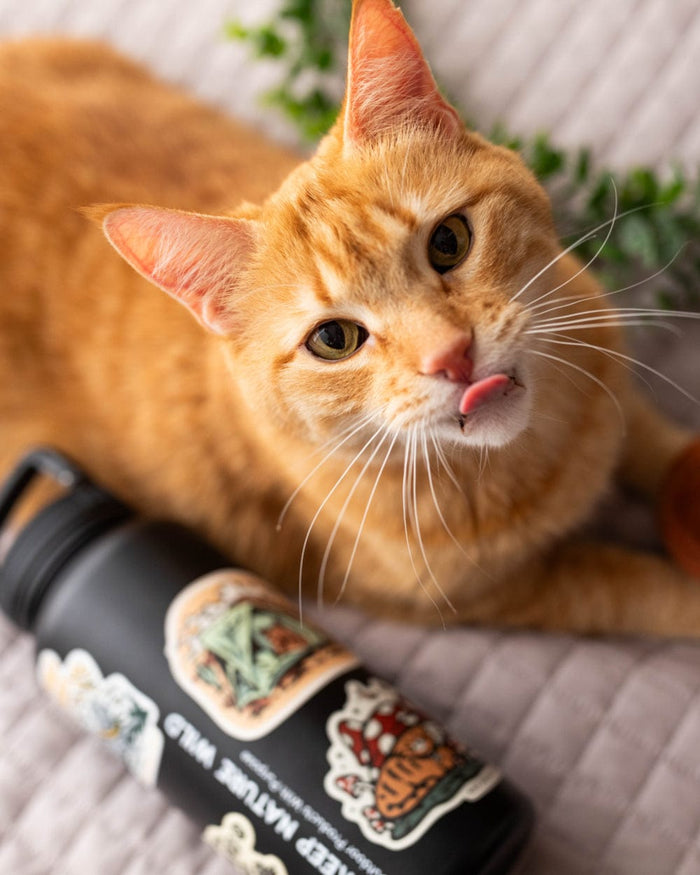 Camping Kitty Sticker | Keep Nature Wild